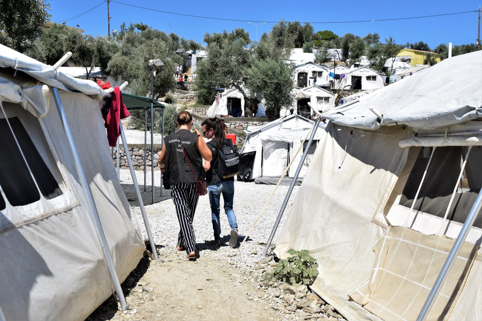 Home - Fred Foundation